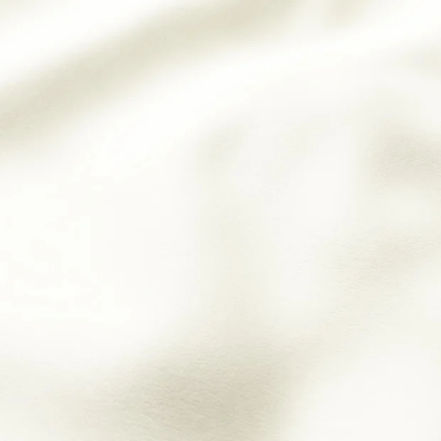 Zepel Bonanza Snow | James Dunlop Textiles