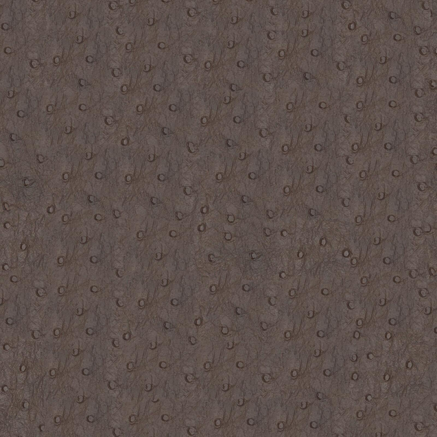 Zepel Supreme Coconut | James Dunlop Textiles